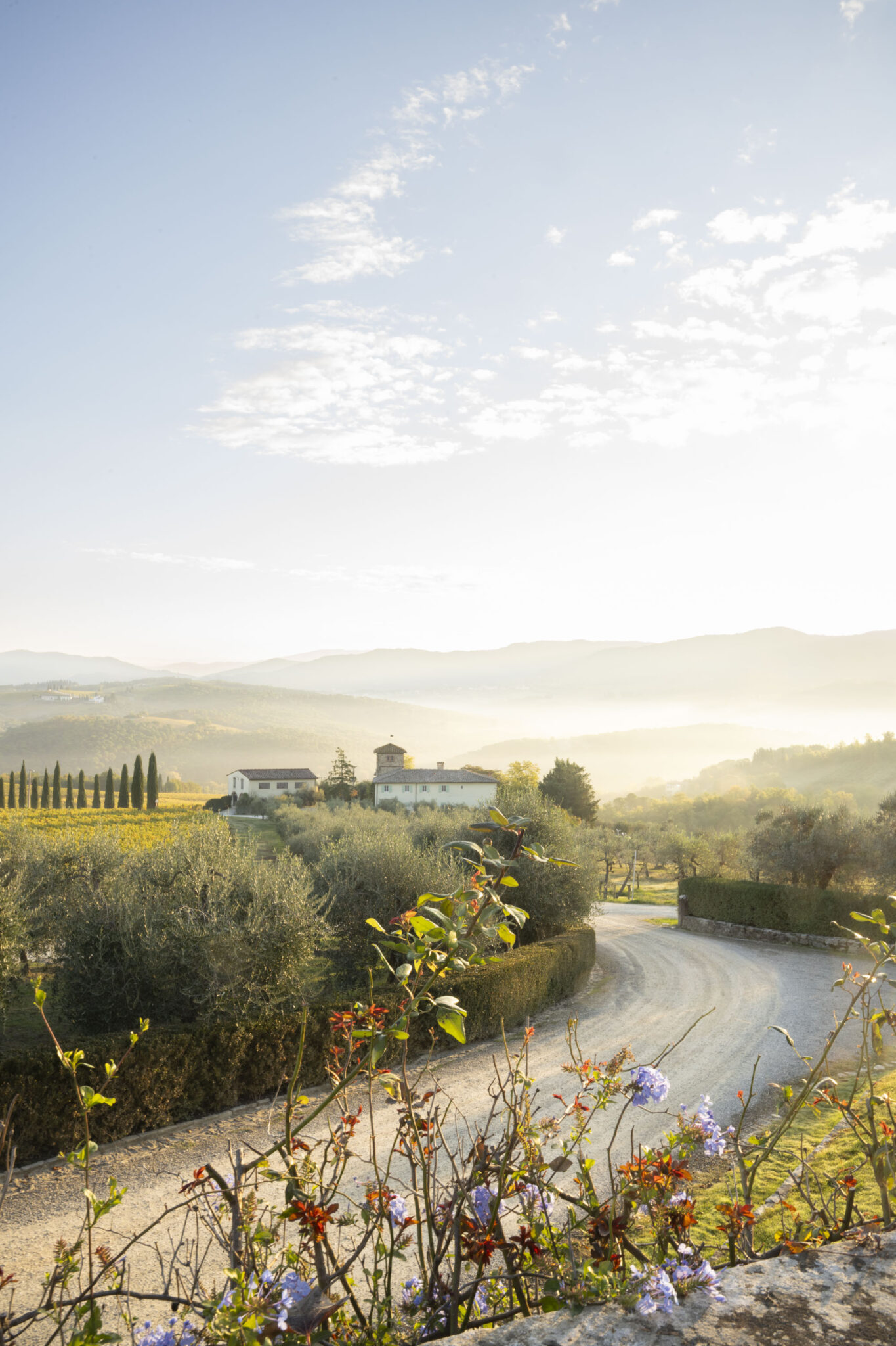 Tuscany Highlights Fall 2025 – Cork+Compass Travel, a Wine Enthusiast ...