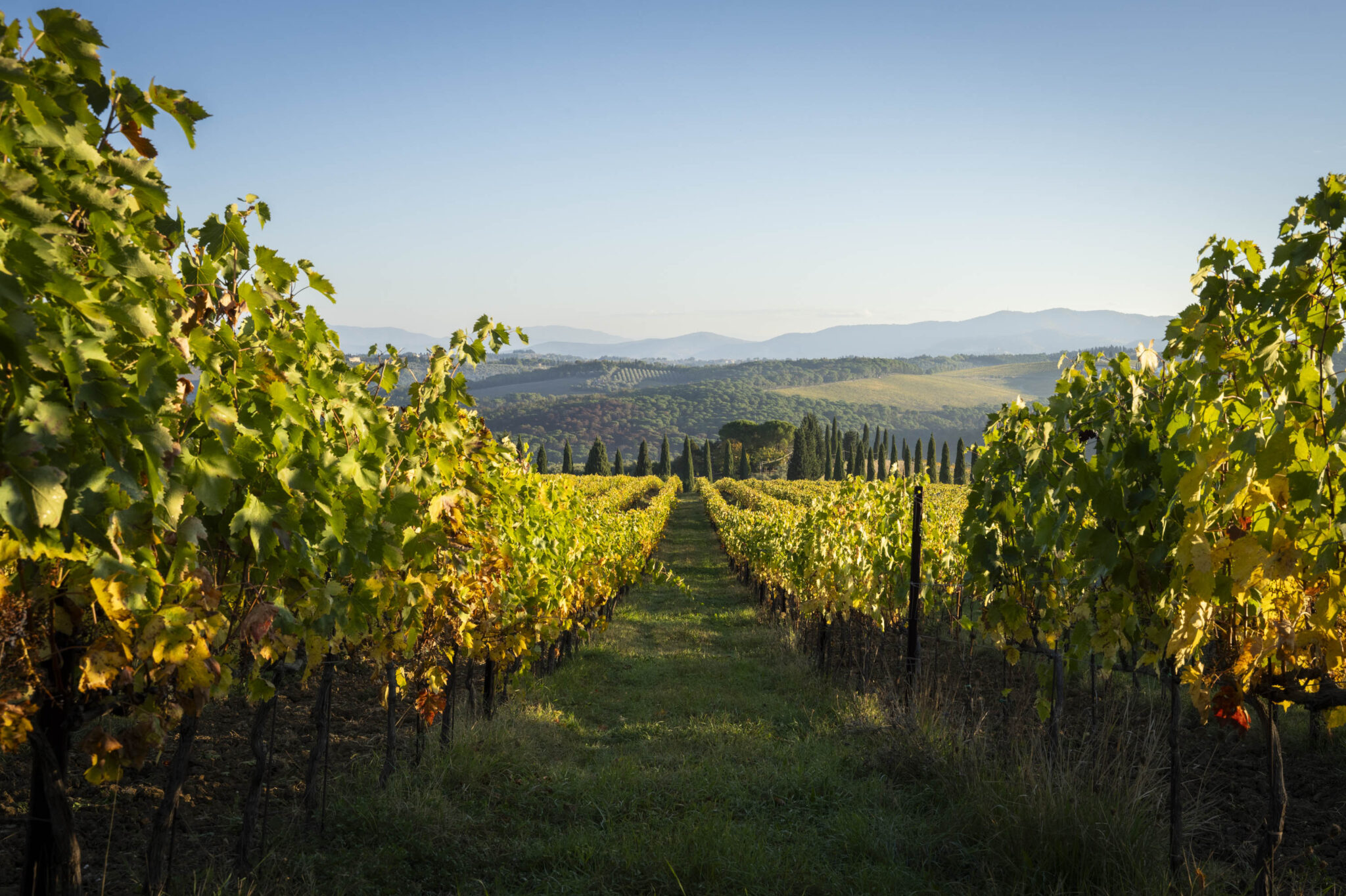 Tuscany Highlights Fall 2025 – Cork+Compass Travel, a Wine Enthusiast ...