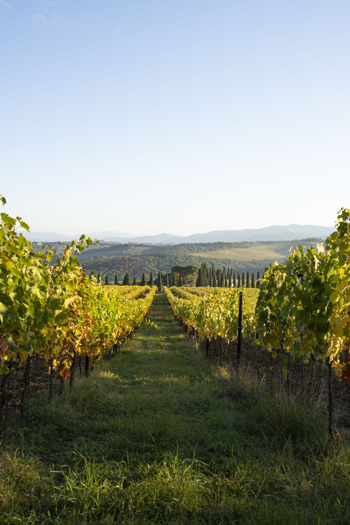 Tuscany Highlights Fall 2025 – Cork+Compass Travel, a Wine Enthusiast ...